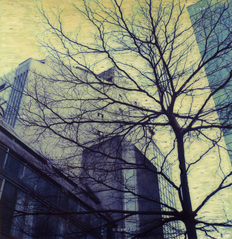 - 全會華(1953-) - 數位島嶼