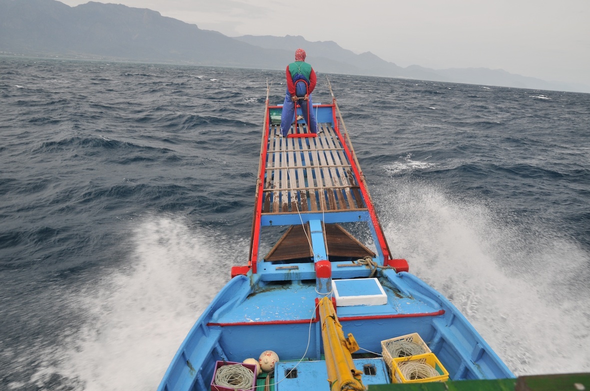 擋風戰浪的鏢魚手 - 數位島嶼