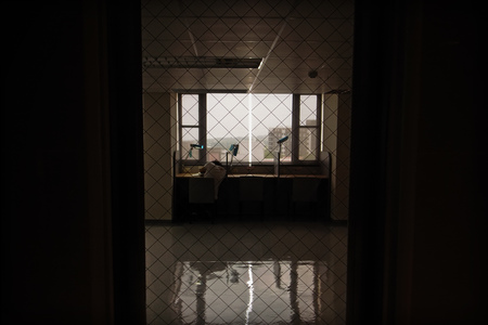 Oscar Cheng - 數位島嶼