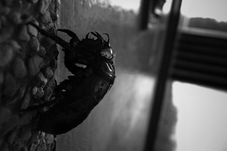 Oscar Cheng - 數位島嶼