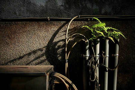 Oscar Cheng - 數位島嶼