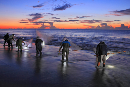 捕魚苗 - Jasen Yang - 數位島嶼